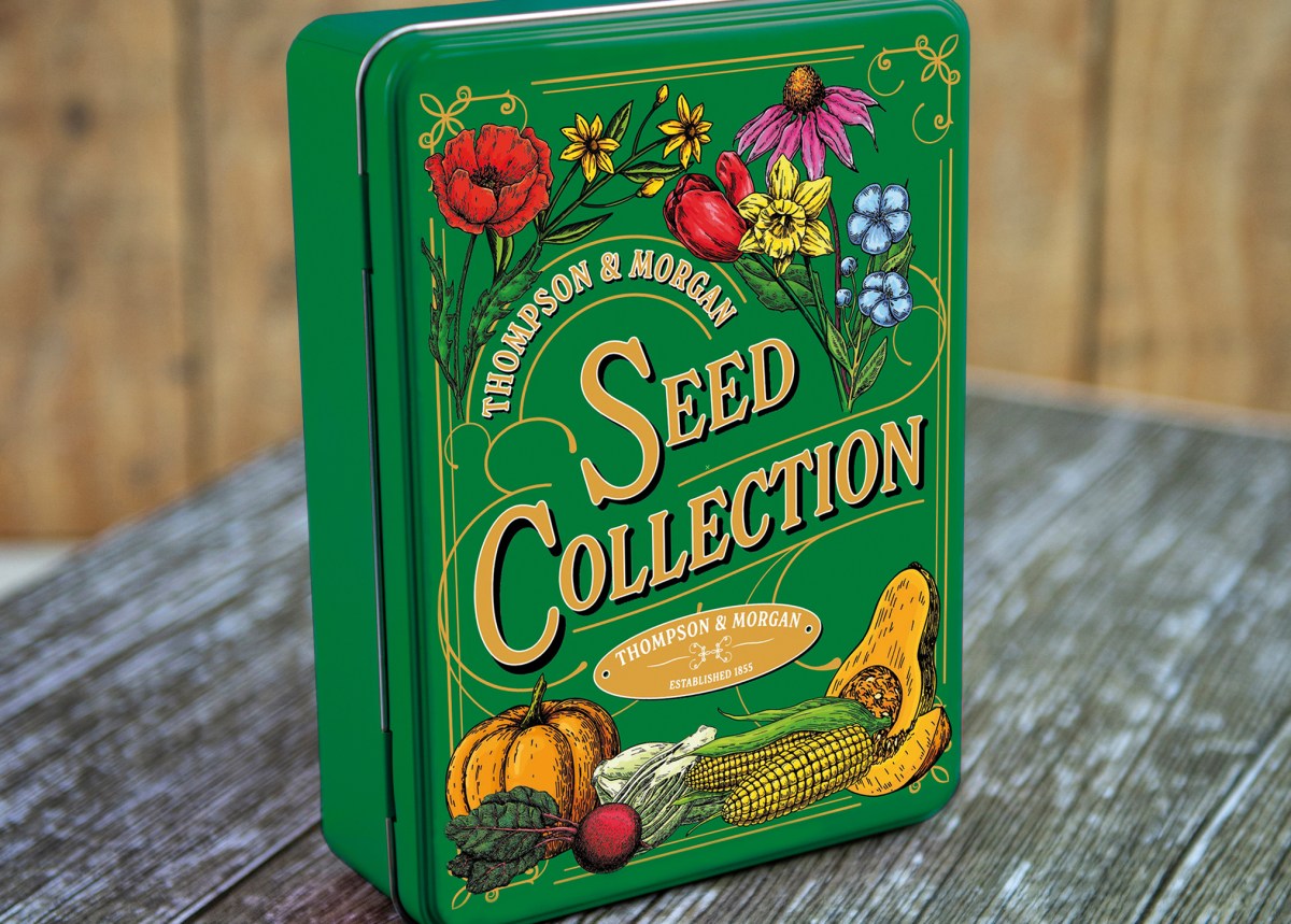 Packaging Design – Amy Wiseman